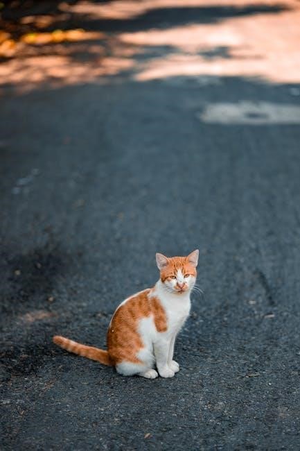 Discover the Ultimate Warrior Cat Herb Guide | Pray for Me Online